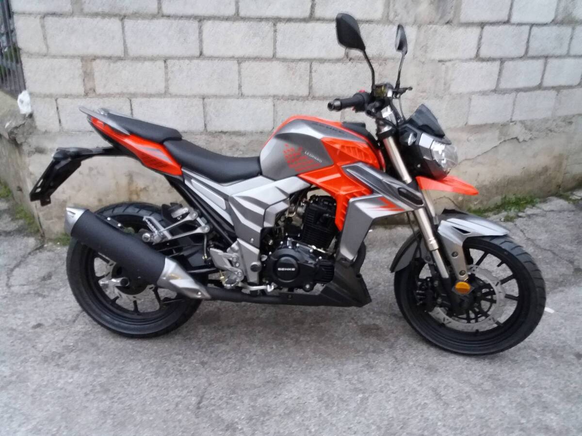 Vendo Senke Naked 125 Sport SK (2017 - 20) nuova a Montebelluna (codice ...